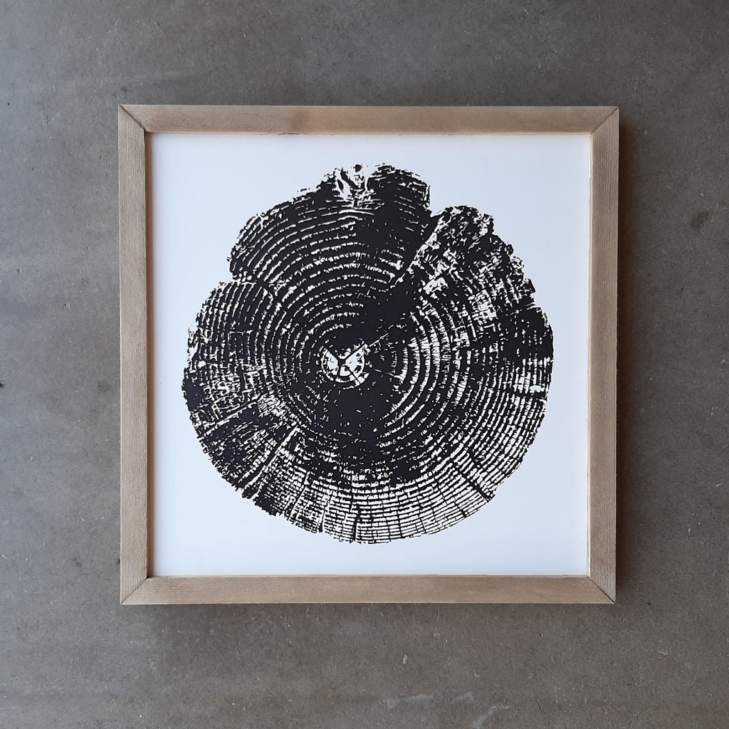 EVERGREEN STUMP HUMBUG - 12 X 12 – seven4one Industries